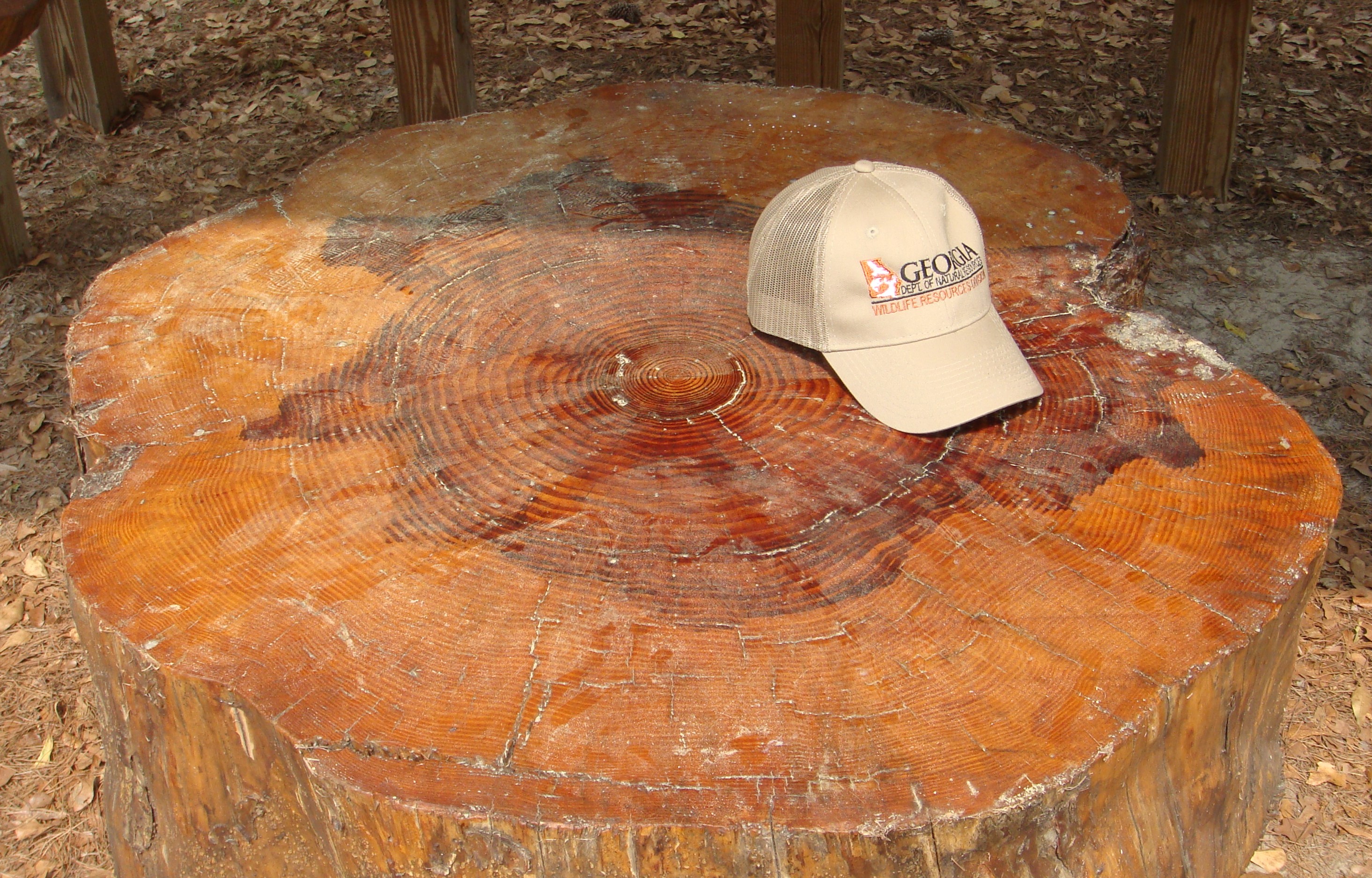 January 2023 – Towards the Moon or To the Sun