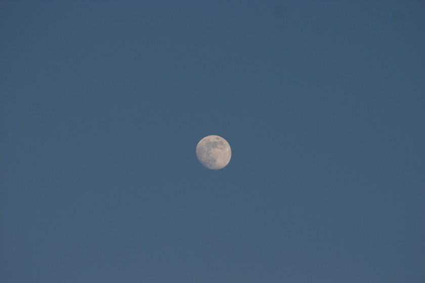 Moon Rhythms 1: Why is a Month? – Towards the Moon or To the Sun